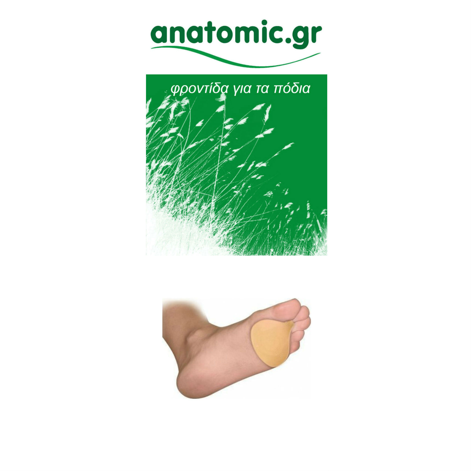 ANATOMIC μεγάλη σιλικόνη μεταταρσίου – anatomic – Τα Ανατομικά ...